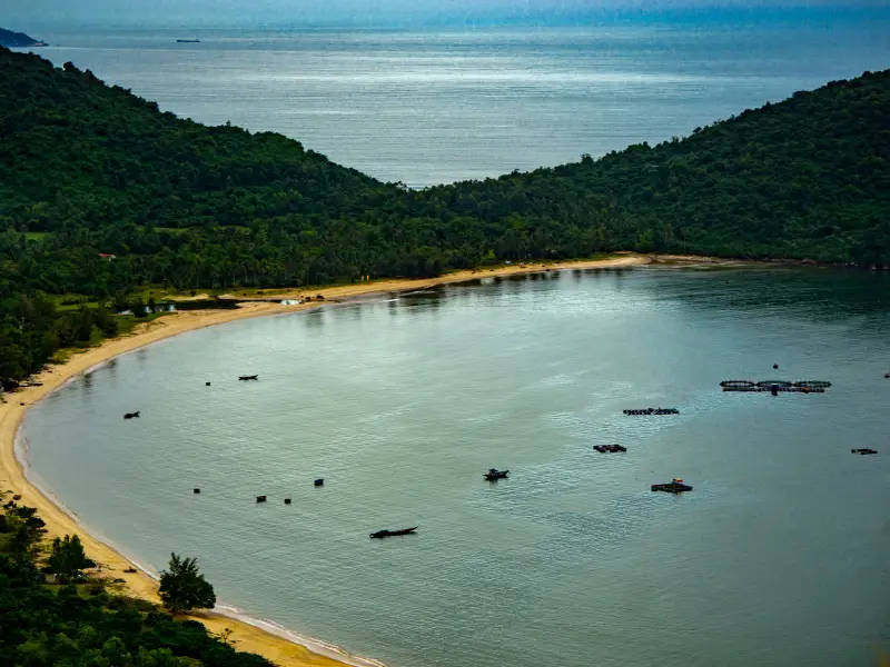 Bass Fishing Bay Area: Everything You Need To Know - AquariumPub