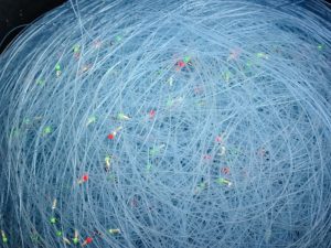 Copolymer Vs Monofilament Vs Fluorocarbon - AquariumPub
