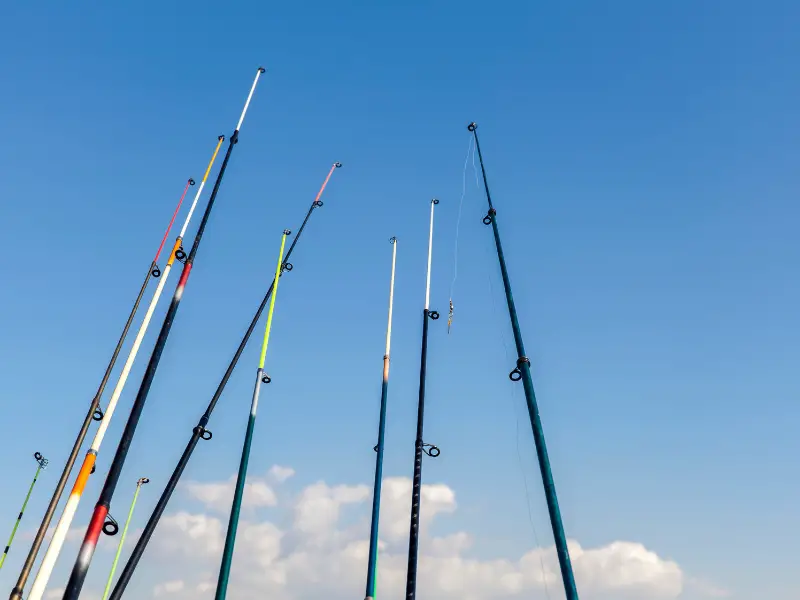 Do Fishing Rods Float? - AquariumPub