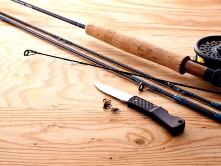 Types Of Red Fish - AquariumPub