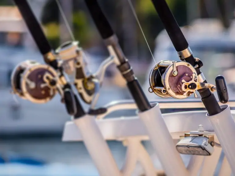 What Fishing Pole Should I Buy? - AquariumPub