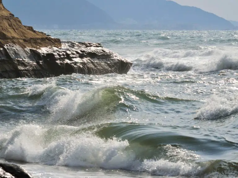 How Do Tides Affect Fishing? - AquariumPub