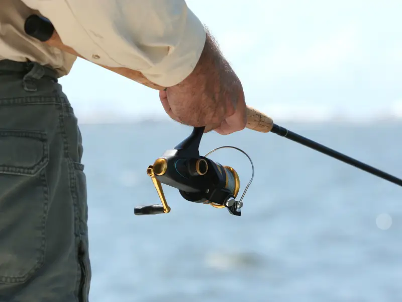 How Do Fishing Reels Work? - AquariumPub