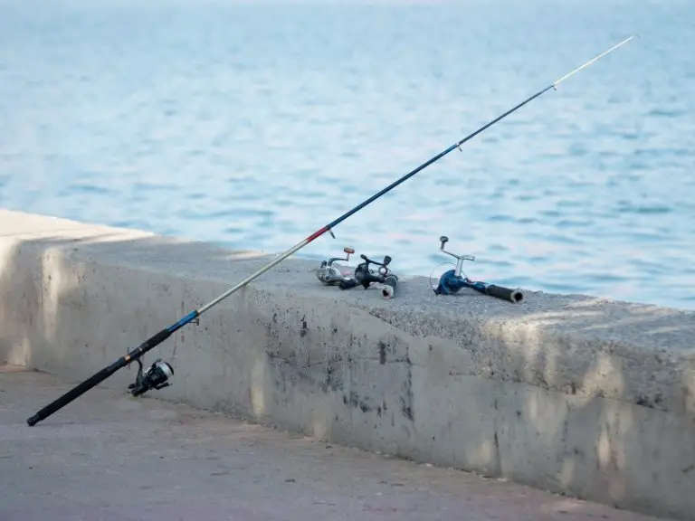 Do Fishing Rods Float? - AquariumPub