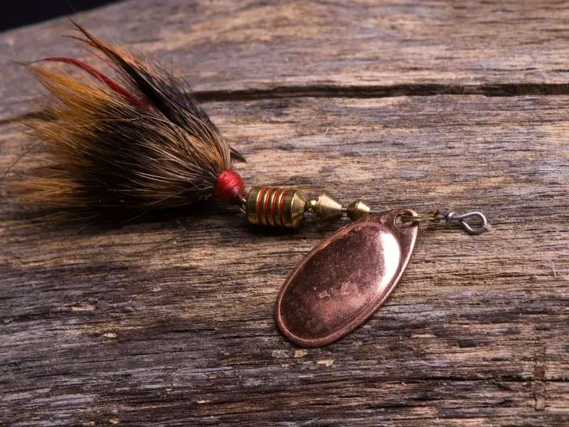 How To Fish With A Spinner - AquariumPub