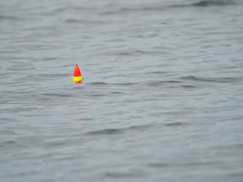 How To Put A Bobber On A Fishing Pole? - AquariumPub