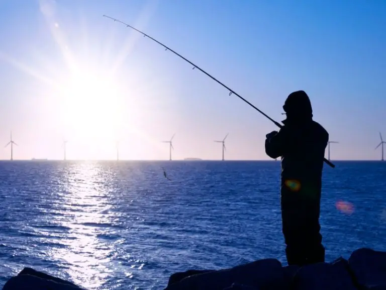 Inshore Vs. Offshore Fishing: 8 Differences You Need To Know About ...