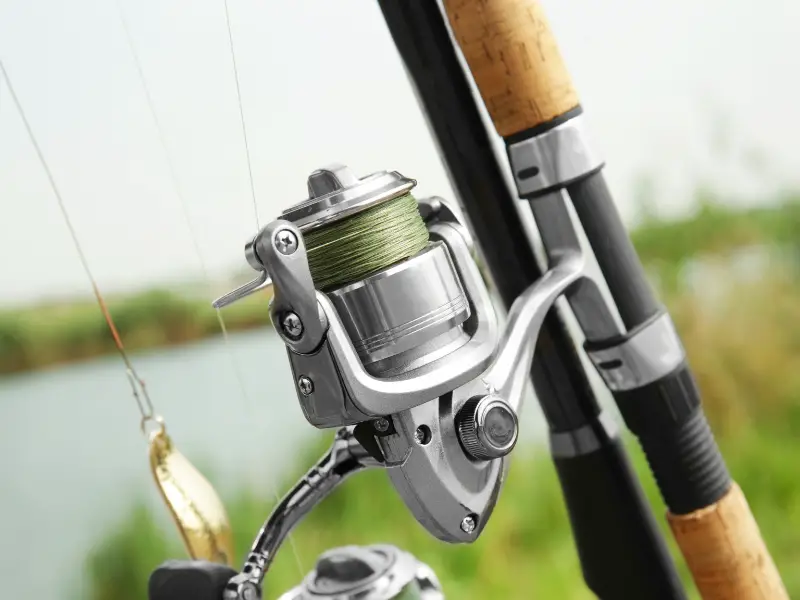Spinning Rod Vs. Casting Rod: Which One To Choose? - AquariumPub