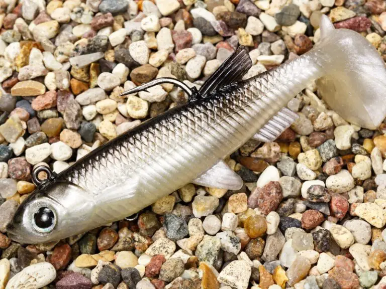 Jig Fishing: Explained For Beginners - AquariumPub