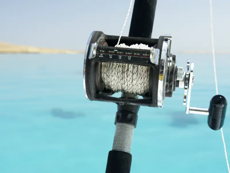 What Fishing Reels Are Made In The USA? - AquariumPub
