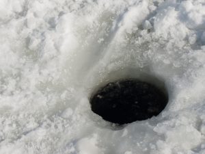 How Does Deep Hole Fishing Work? Read Before Going - AquariumPub