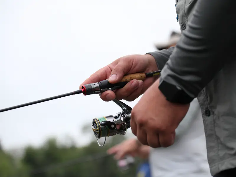 What Is Sport Fishing? 11 Things You Need To Know About It - AquariumPub
