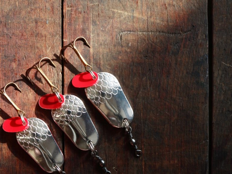 How To Fish With A Spinner - AquariumPub