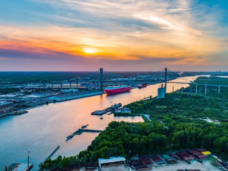 Pay To Fish Ponds In Georgia: A Guide To The Best Options - AquariumPub