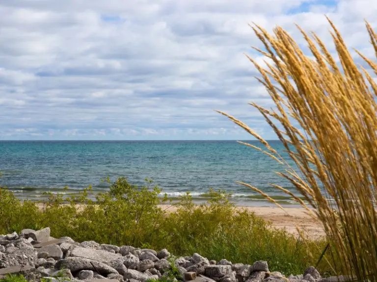 Pay To Fish Ponds In Michigan: Where To Go And What To Expect - AquariumPub