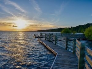 How Many Fishing Rods Per Person In North Carolina - AquariumPub